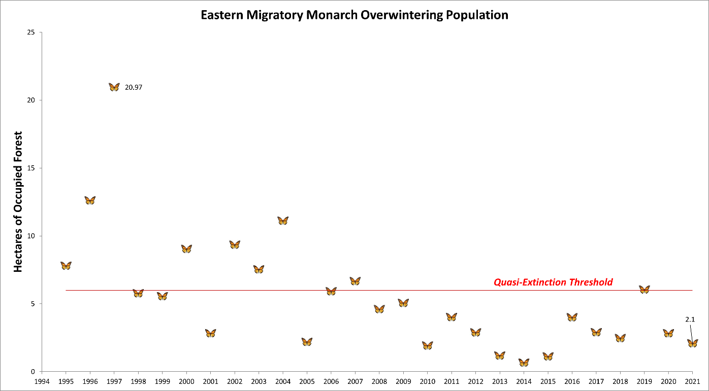 Are Monarchs Pollinators? | Pollination Education