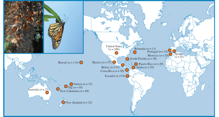 Are Monarchs Pollinators? | Pollination Education